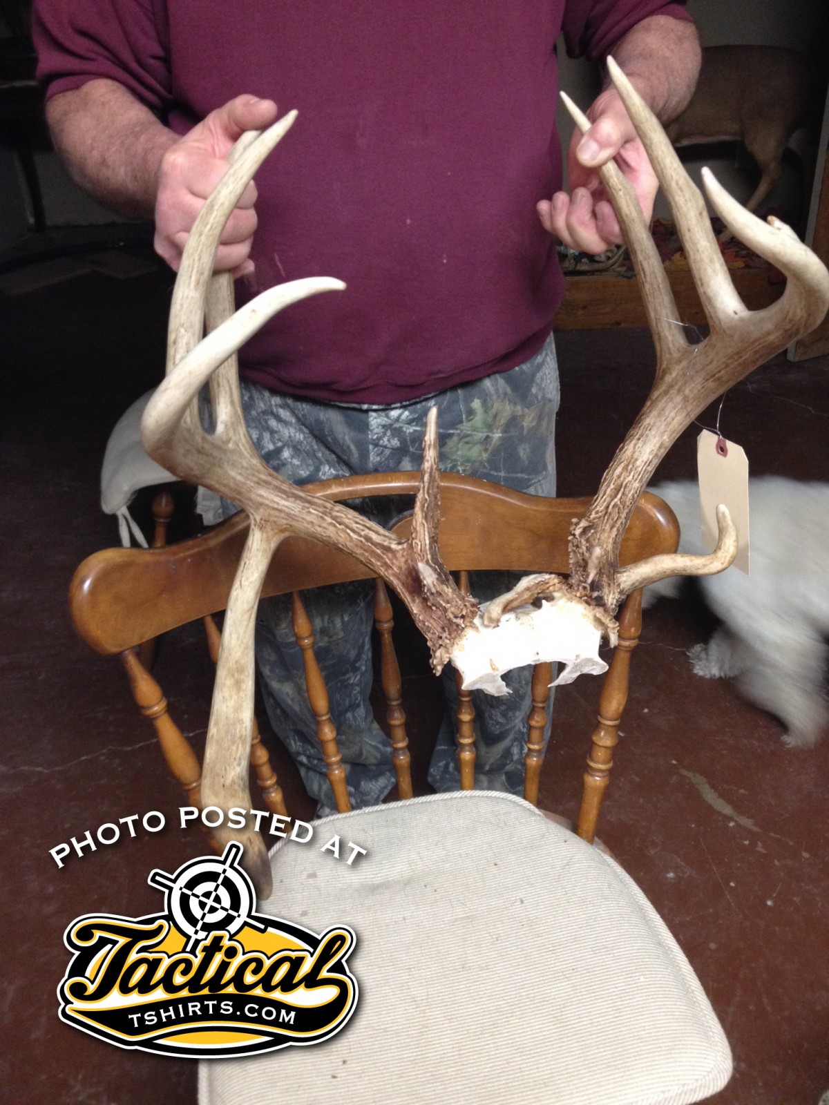 Crazy Deer 2015 - John1911.com Gun Blog