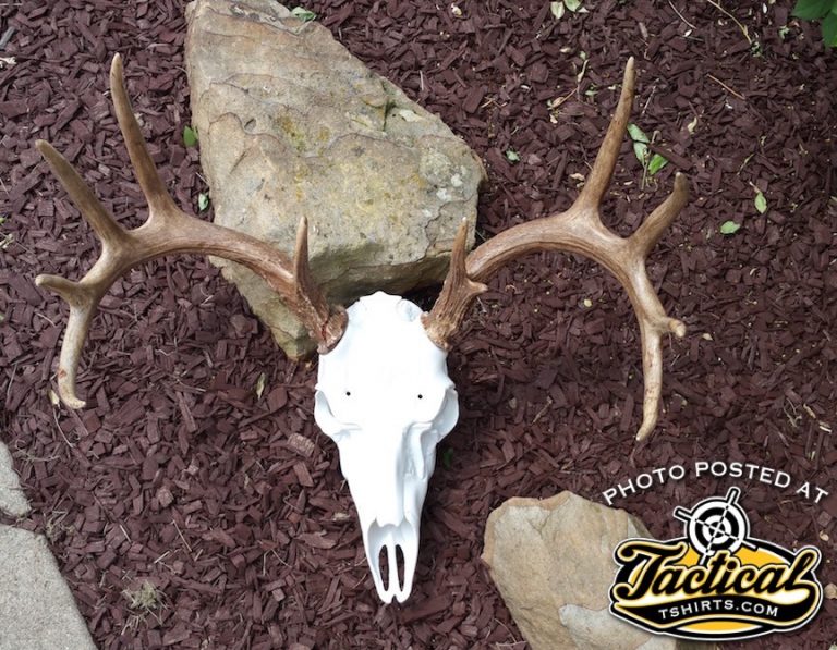 Mountain Mike Skull Master Mounting Kit - John1911.com Gun Blog