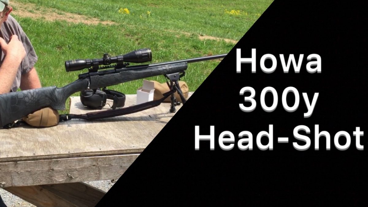 Howa 300 Yard Headshot - John1911.com Gun Blog
