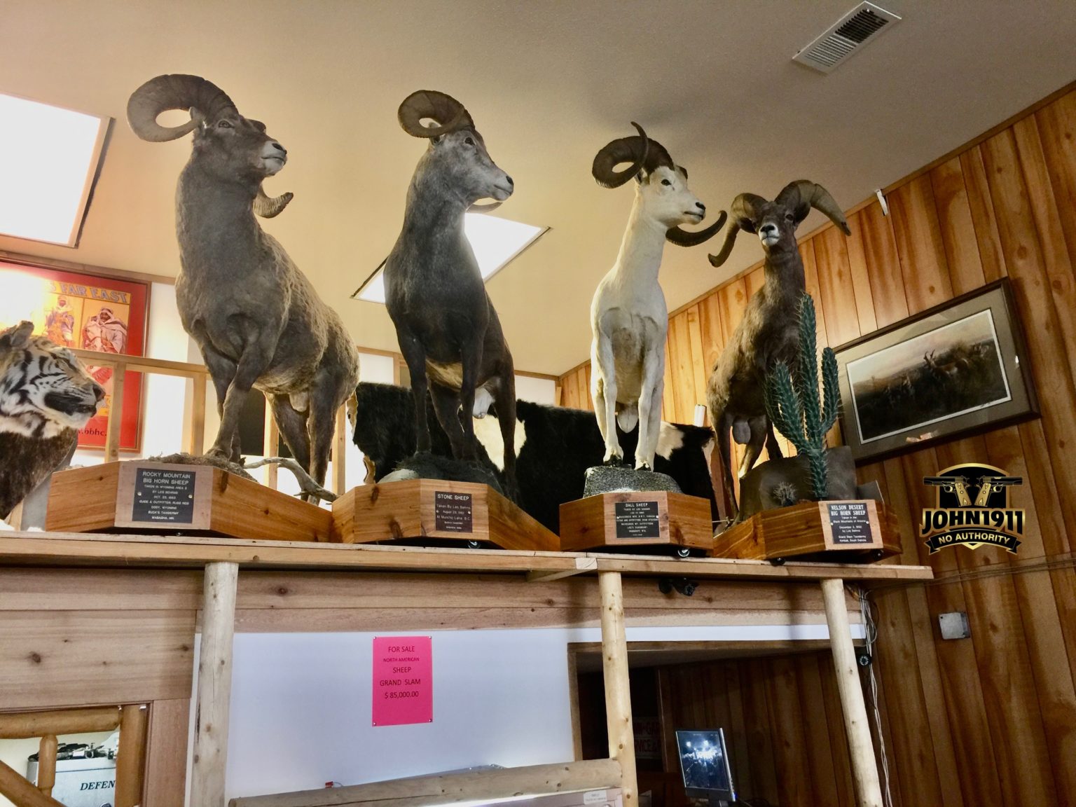 North American Sheep Grand-Slam - John1911.com Gun Blog