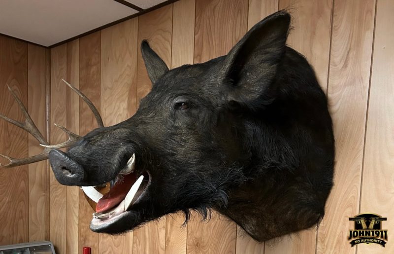 Hogzilla Mount - John1911.com Gun Blog