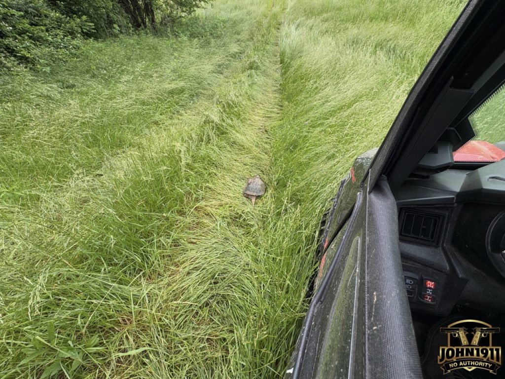 Gun Range Drive-By - Snapping Turtle