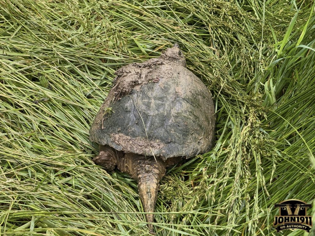 Gun Range Drive-By - Snapping Turtle