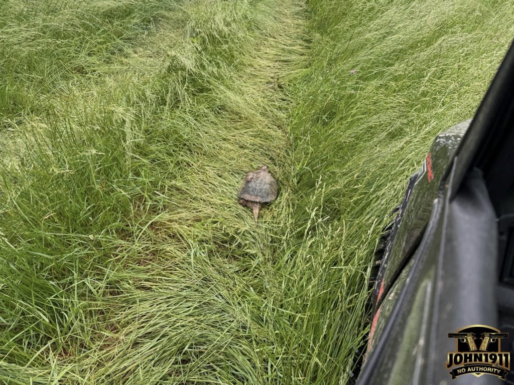 Gun Range Drive-By - Snapping Turtle